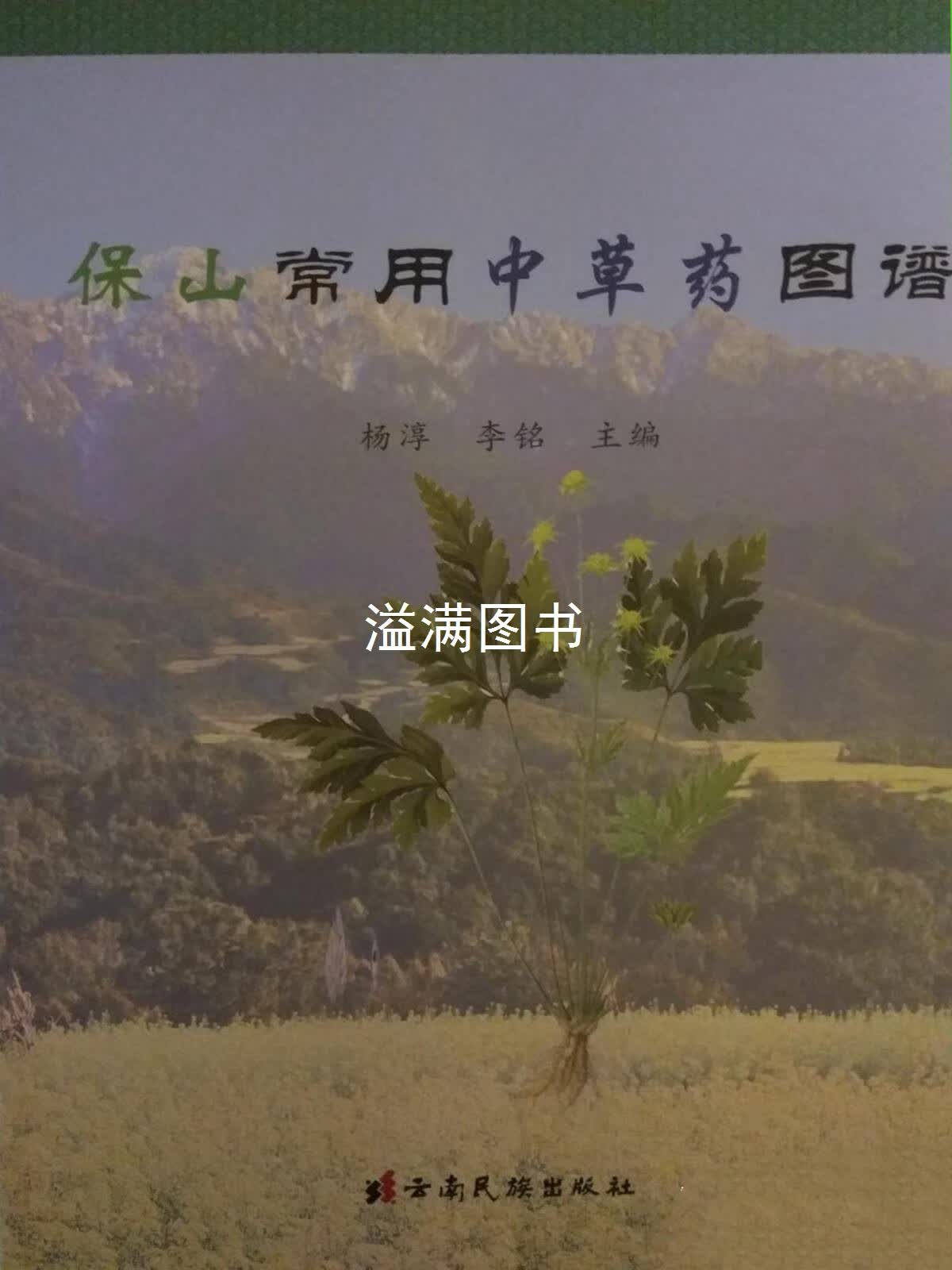 保山常用中草药图谱 杨淳, 李铭主编 云南民族出版社 9787536770478