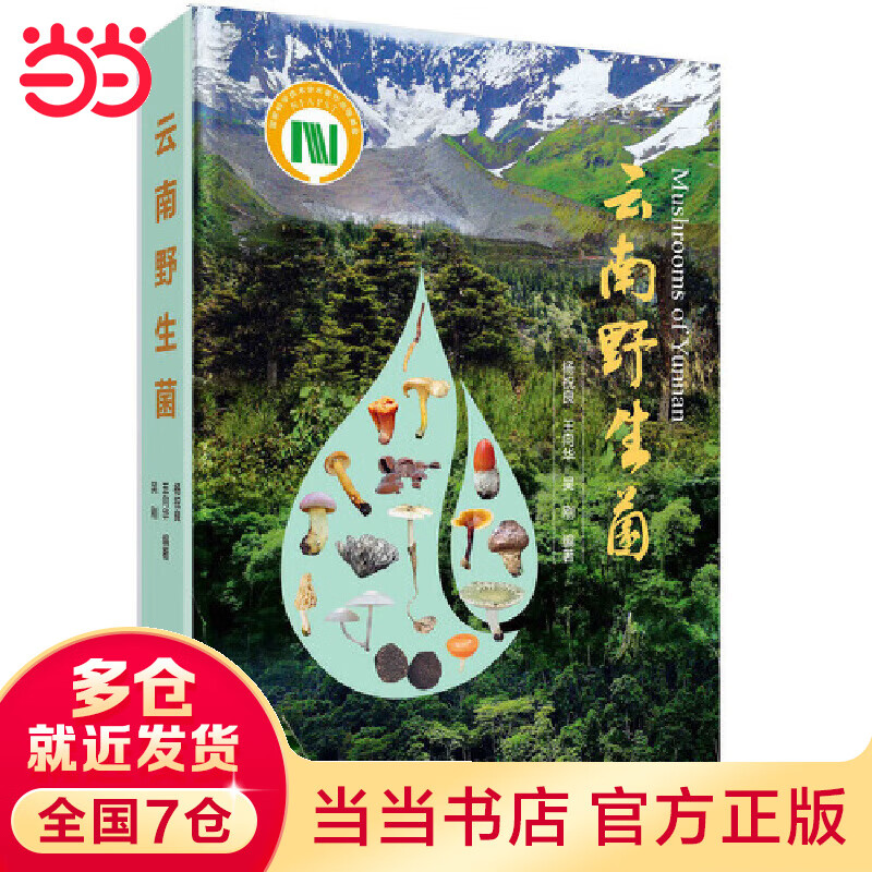 云南野生菌