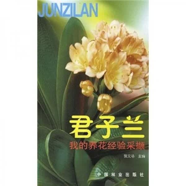 君子兰：我的养花经验采撷