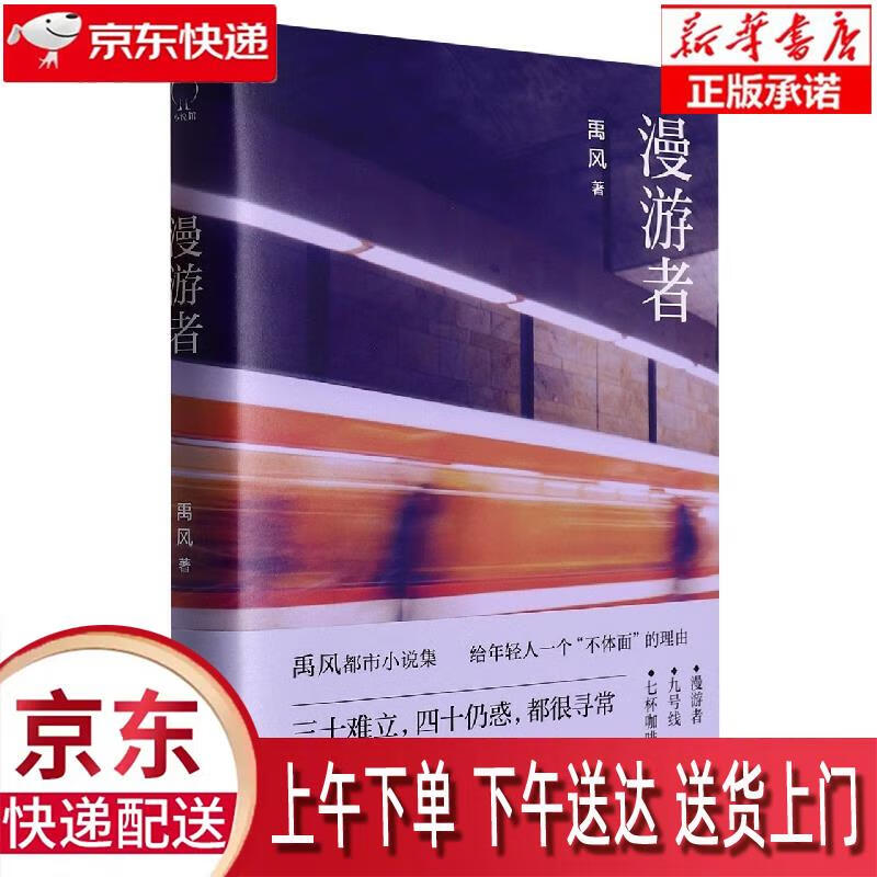 漫游者 禹风 浙江文艺出版社