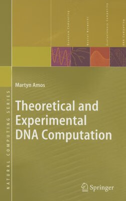 Theoretical and Experimental DNA Computation