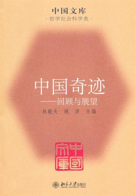 中国奇迹:回顾与展望