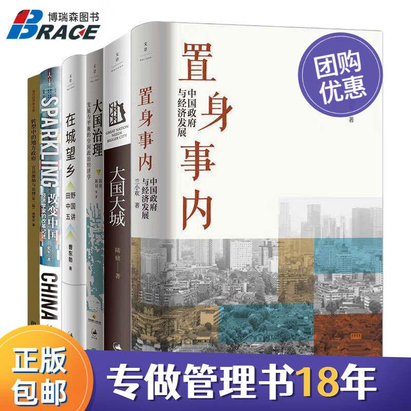 中国经济6本套：置身事内+大国大城+在城望乡+改变中国+da国治理+转型中的地方政府 兰小欢、陆铭等著/经典历史企业管理书籍团购送朋友