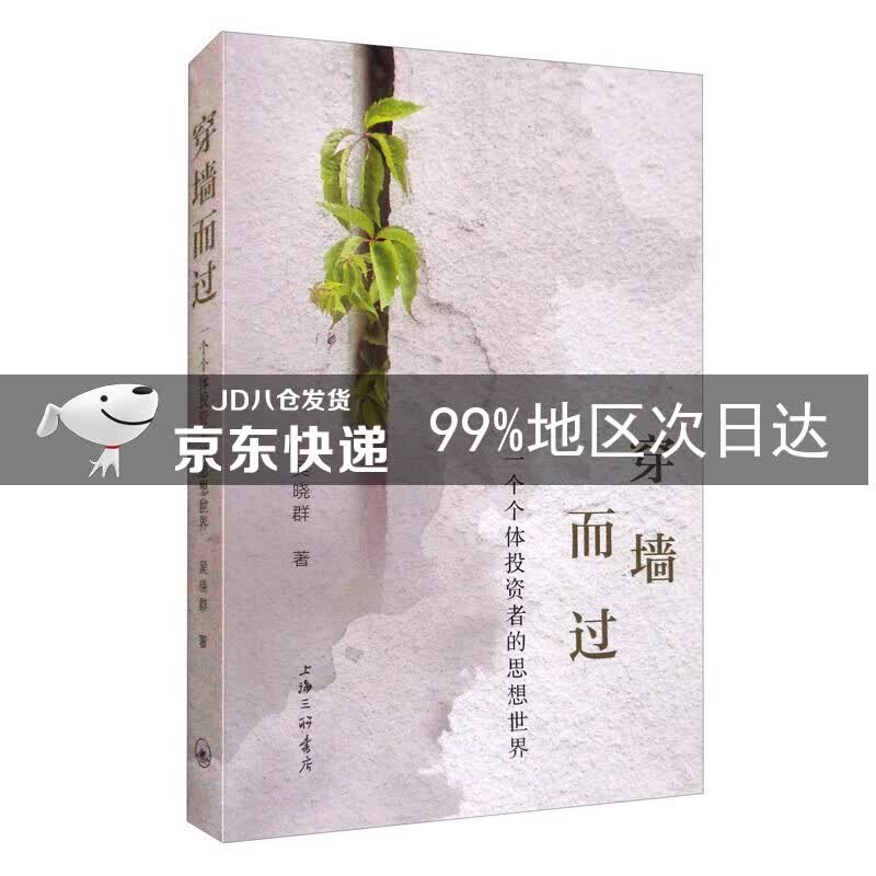 穿墙而过：一个个体投资者的思想世界