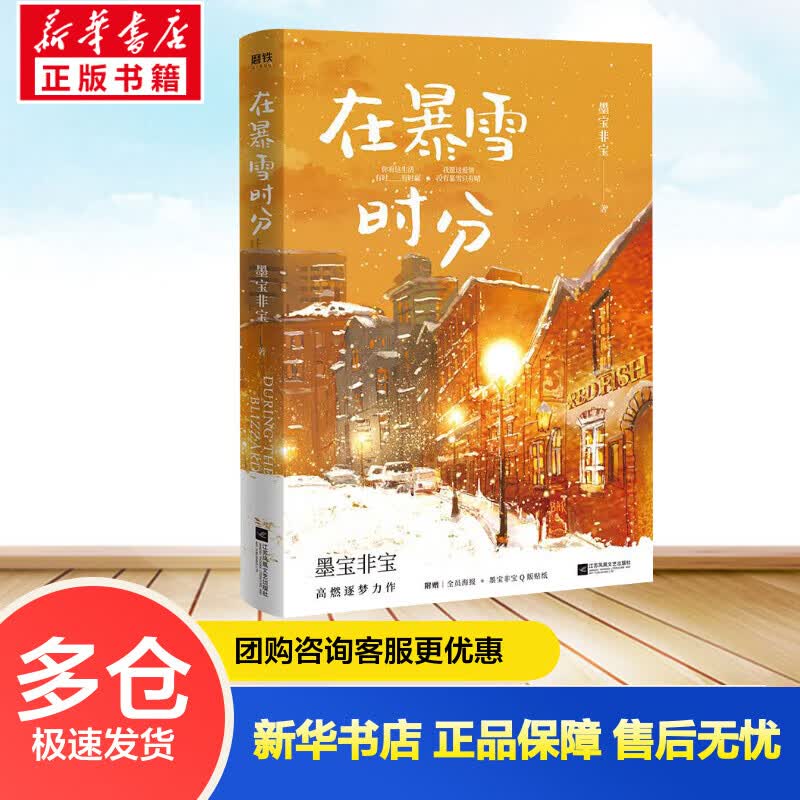 在暴雪时分 墨宝非宝 书籍