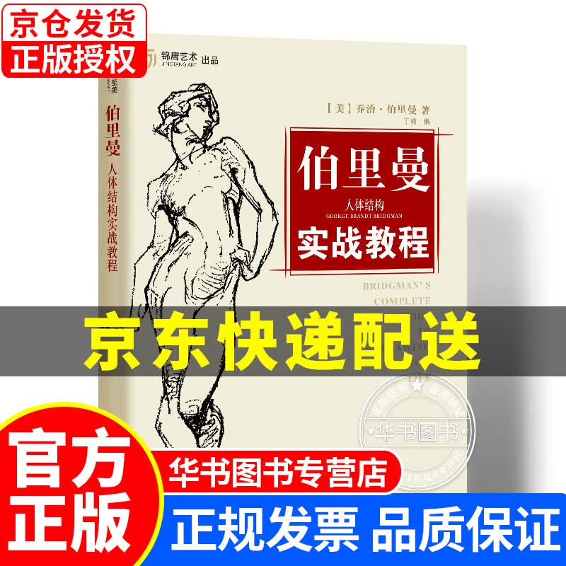 伯里曼人体结构实战教程 伯里曼