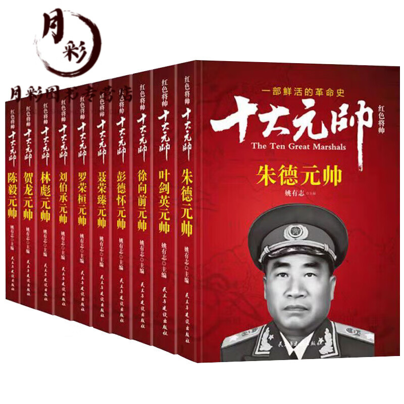 十大元帅书籍全套10册革命红色经典读物爱国主义教育故事书阅读书籍朱德叶剑英林彪陈毅开国元勋人物传记丛