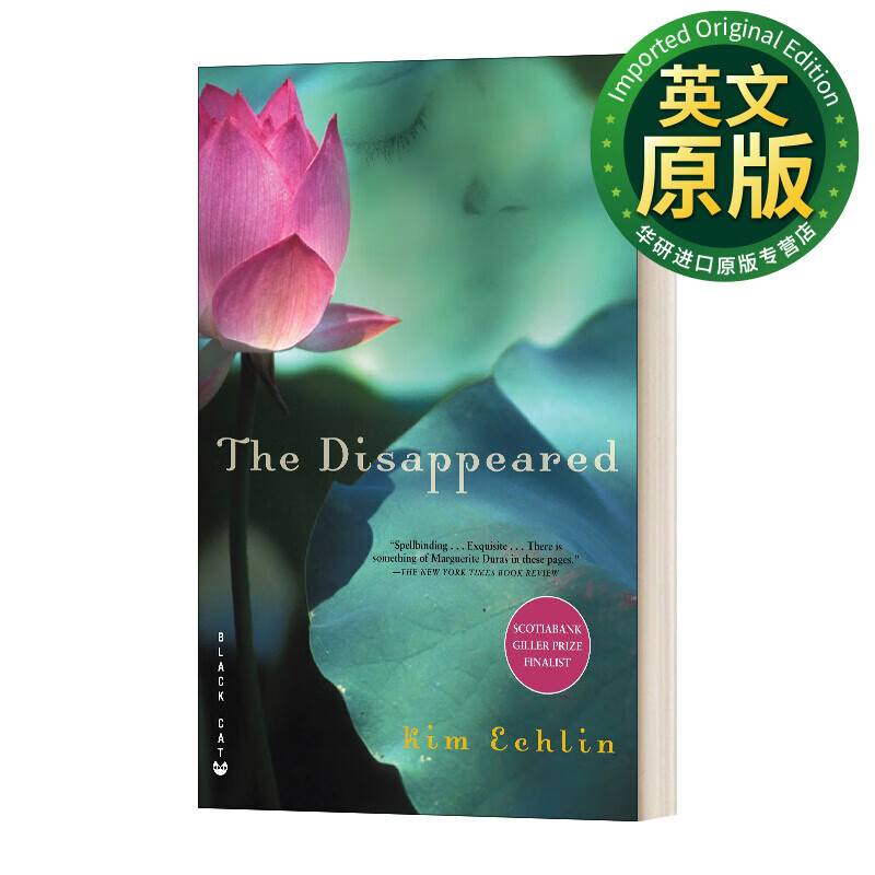 The Disappeared 消失 英文版 进口英语原版书籍 英文原版小说