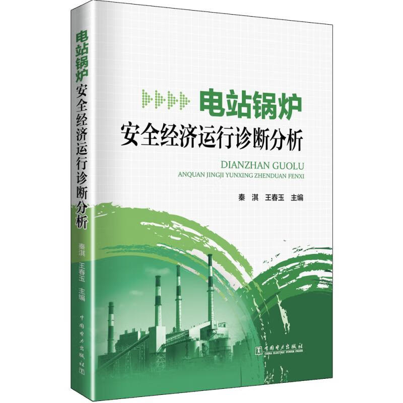 电站锅炉安全经济运行诊断分析 图书