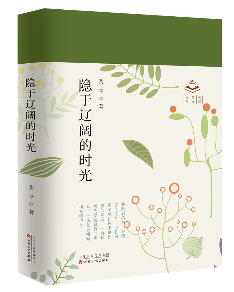 隐于辽阔的时光
