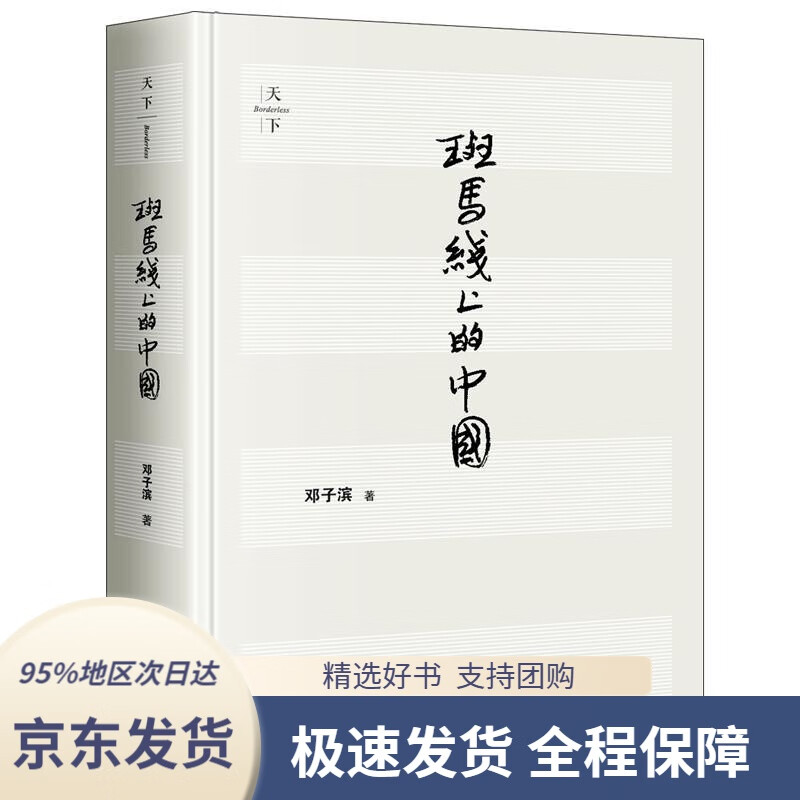 【 京东配送 支持团购】天下·斑马线上的中国（第三版）邓子滨著法律出版社9787511897527