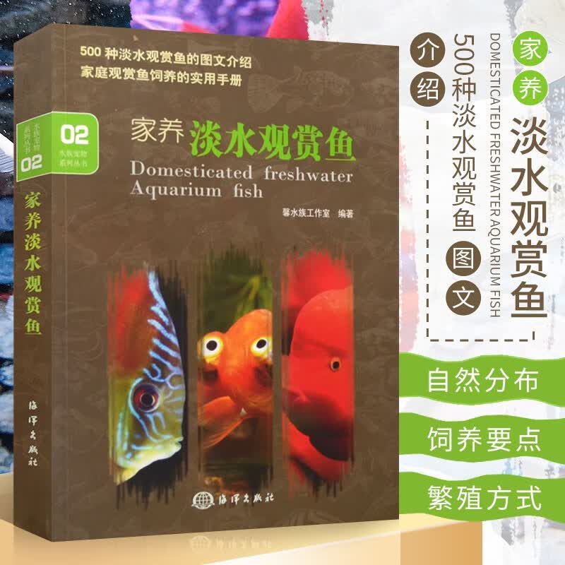 家养淡水观赏鱼 家庭观赏鱼饲养实用手册 淡水鱼图文简介 家庭观赏鱼饲养教程书 观赏鱼新手入门 观赏鱼饲养疾病治疗 家庭水族箱养鱼指南 养育书 观赏鱼书