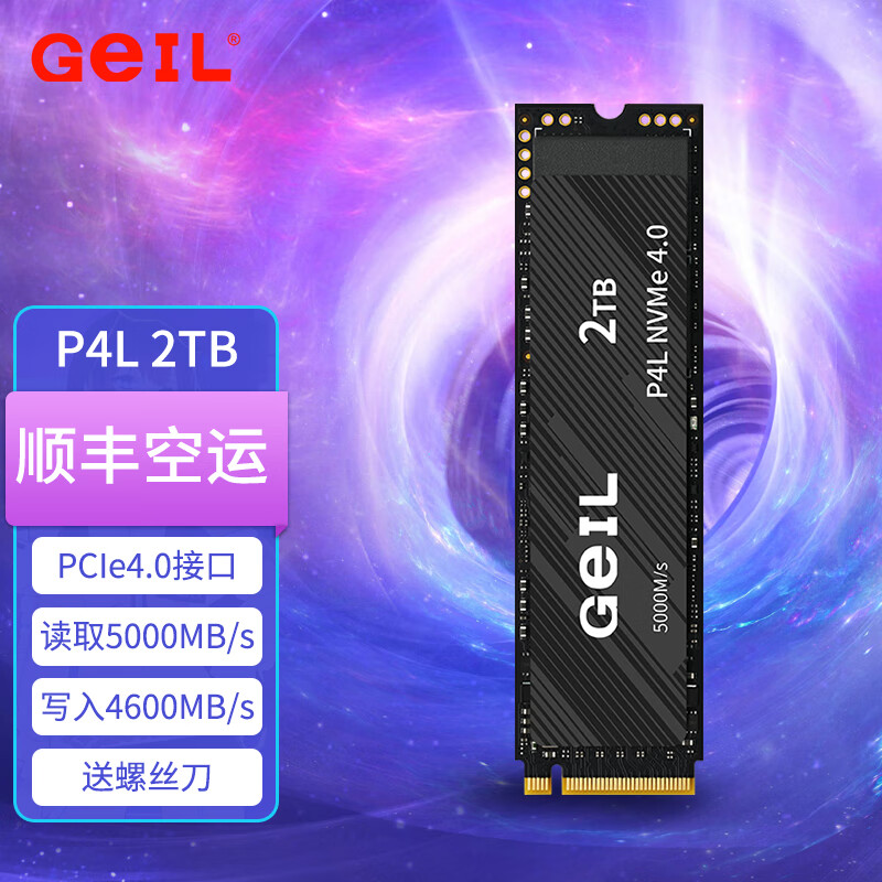 GeIL金邦 P4L固态硬盘PICE4.0台式机SSD笔记本电脑M.2(NVMe协议)高速ps5主机 P4L 2TB PCIE4.0-京东商城 ...
