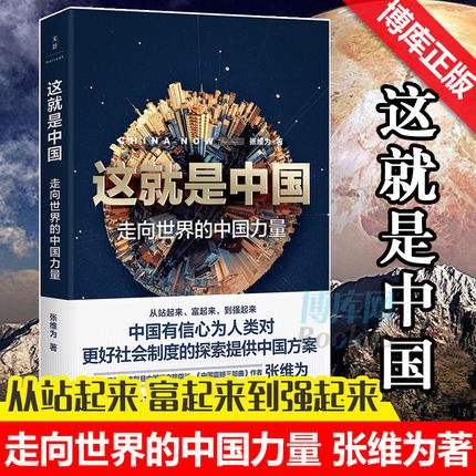 这就是中国:走向世界的中国力量 张维为著