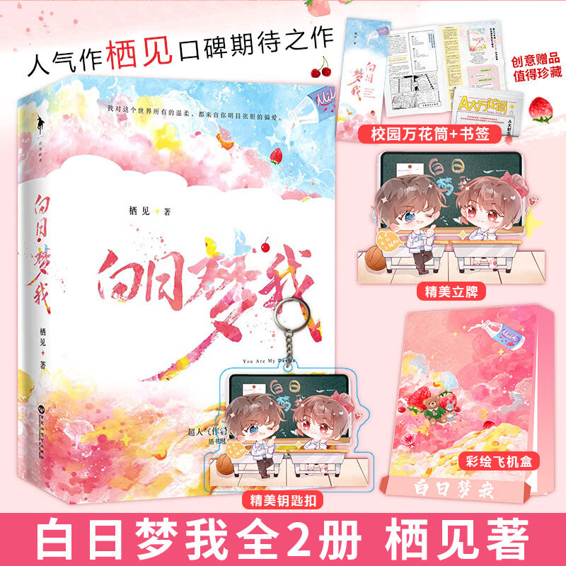 【彩绘飞机盒 赠立牌+钥匙扣+书签】现货 白日梦我栖见实体小说书上下册全套 校园青春言情甜宠爱情难哄偷偷藏不住