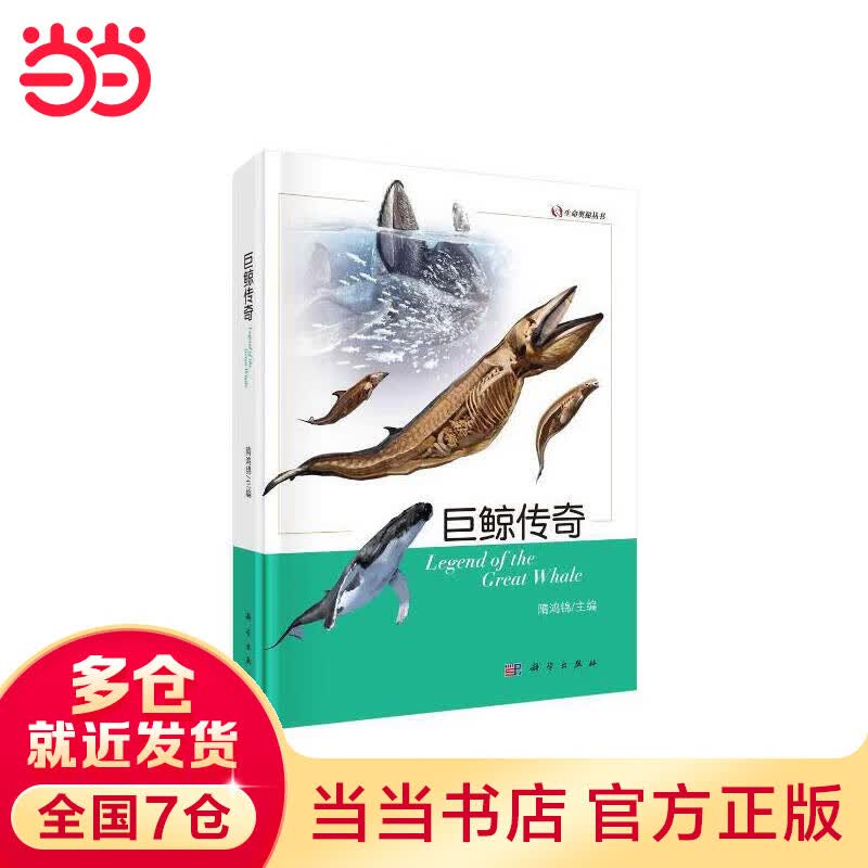 巨鲸传奇