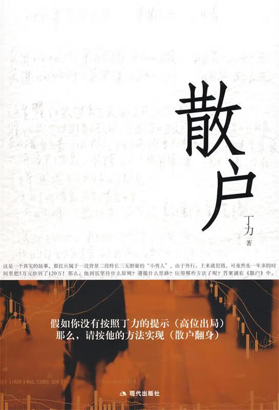 散户 丁力 著 现代出版社