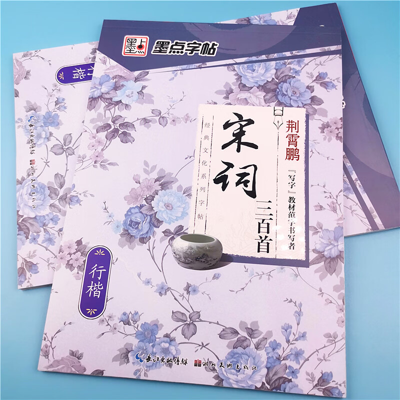 墨点字帖 荆霄鹏行楷字帖 唐诗宋词三百首精选 名家散文名著名言带透明蒙纸描摹 成人练字行书 楷书古诗词钢 宋词三百首行楷