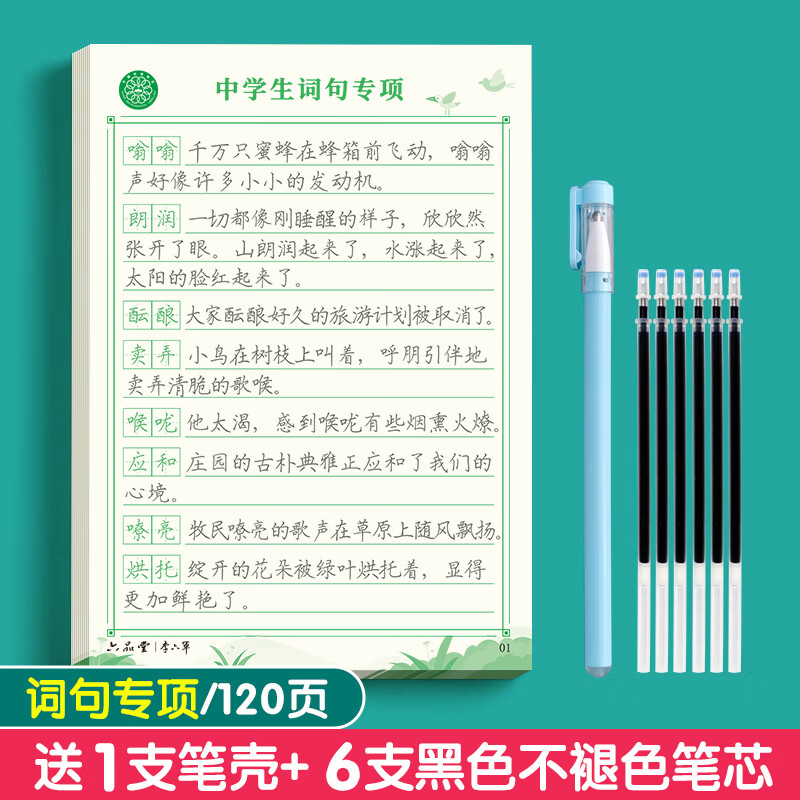初中生字帖优美句子积累好词好句语文高中学生练字帖楷书钢笔手写体临摹大全硬笔书法小升初七年级年级正楷体作文专用每日一练 【词句专项】共120页 送笔壳笔芯
