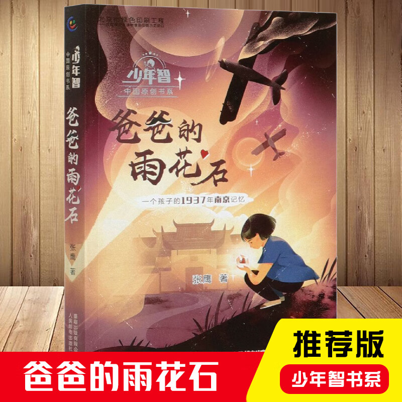 童趣 爸爸的雨花石 “少年智”中国原创书籍 一个孩子1973年的南京记忆 三四五六年级小学生课外阅读经典