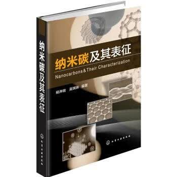 纳米碳及其表征 杨序纲,吴琪琳 著 化学工业出版社
