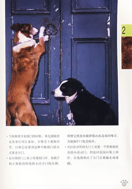 如何与狗狗对话【好书】