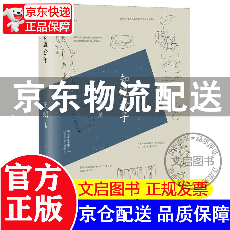 王朔:知道分子（2015版）