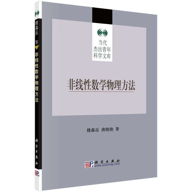 非线性数学物理方程/当代杰出青年科学文库