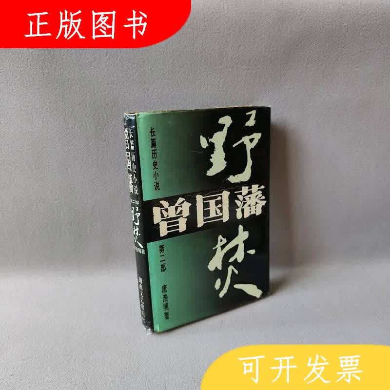 湖南文艺出版社主编【*】曾国藩:野焚9787540408008