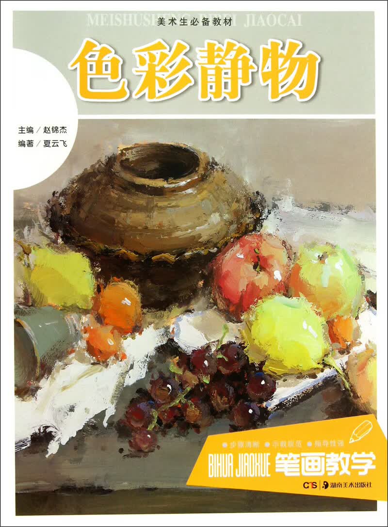 色彩静物9787535665034【特惠】