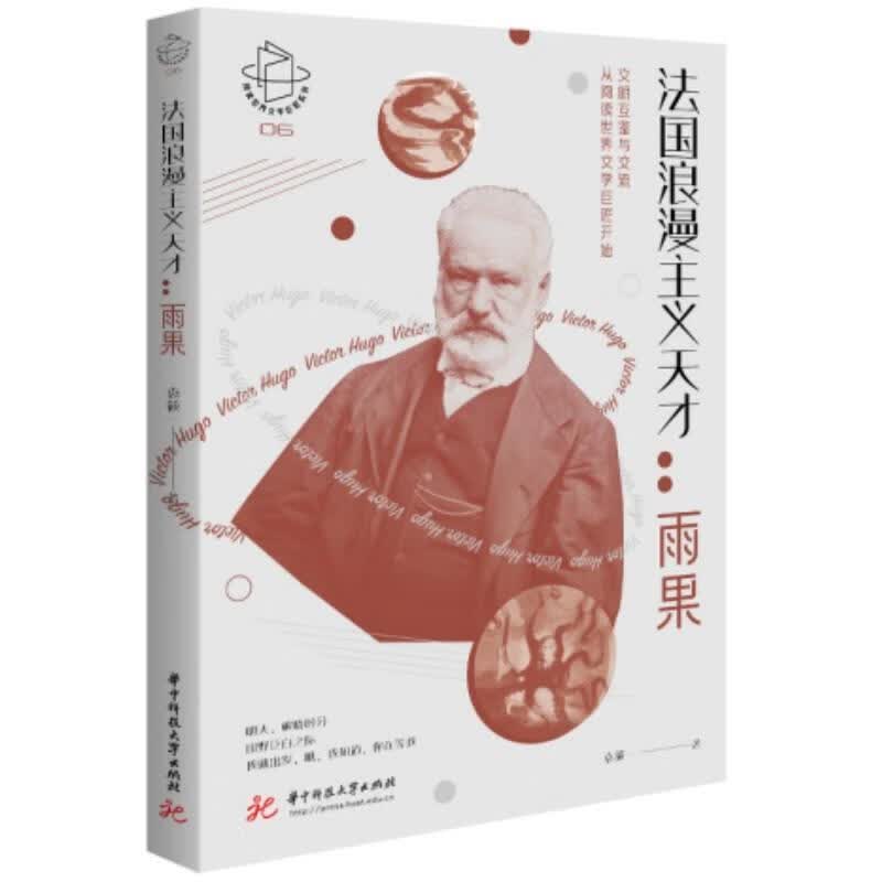 浪漫主义天才：雨果传记 图书
