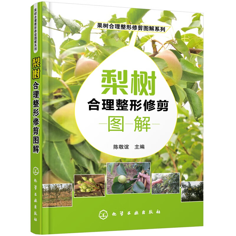 果树合理整形修剪图解系列--梨树合理整形修剪图解