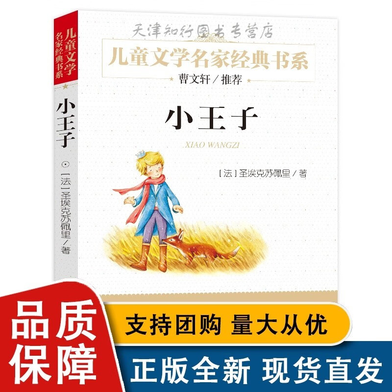 《小子》儿童文学名家经典书系