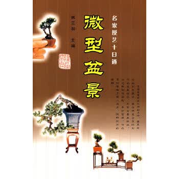 微型盆景【精选】