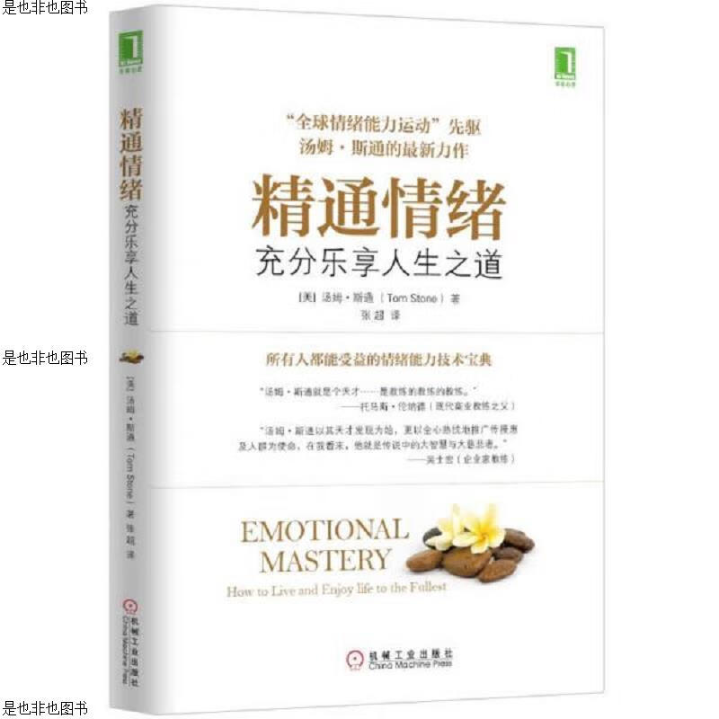 精通情绪：充分乐享人生之道 没有写画