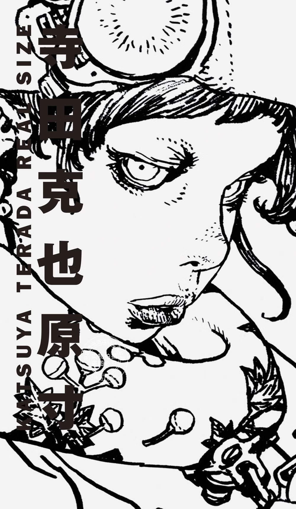 现货 进口日语 寺田克也原寸 寺田克也 原画集