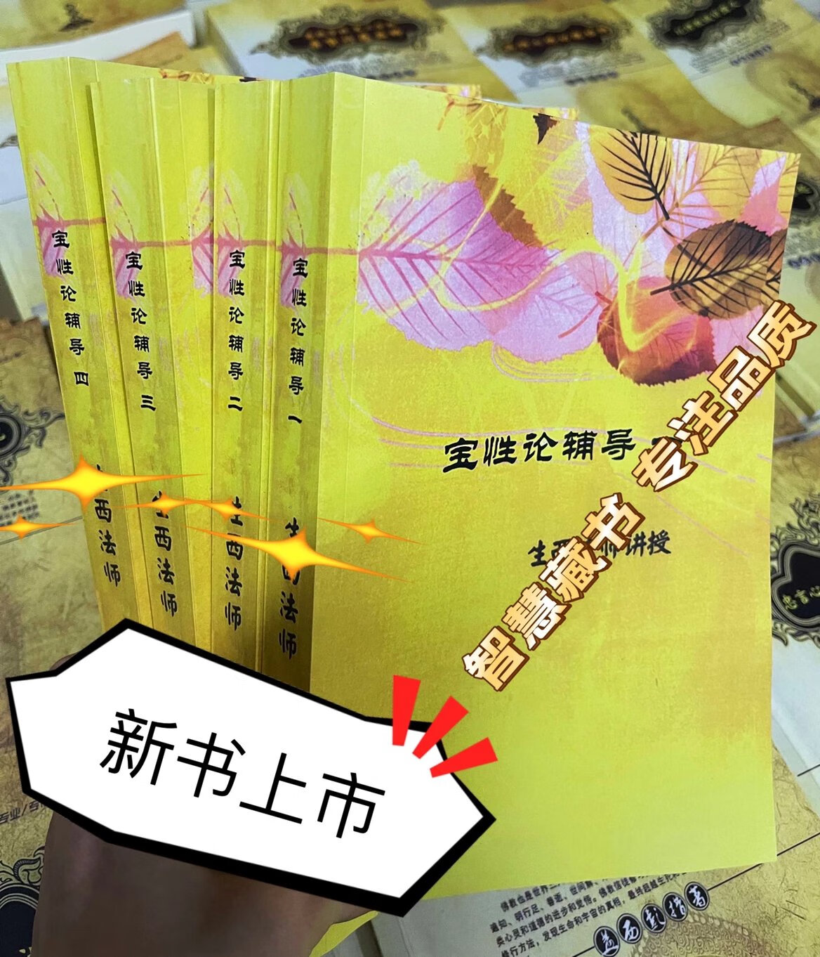 新品 《宝性论辅导》1-4全套 生S系列 16开大本 共计1769页