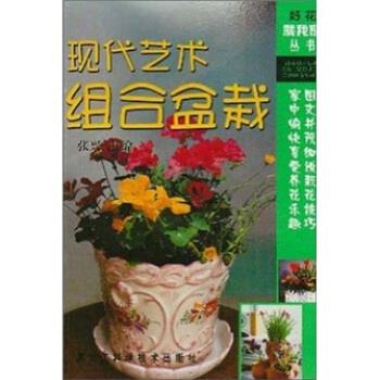 现代艺术组合盆栽 张兴