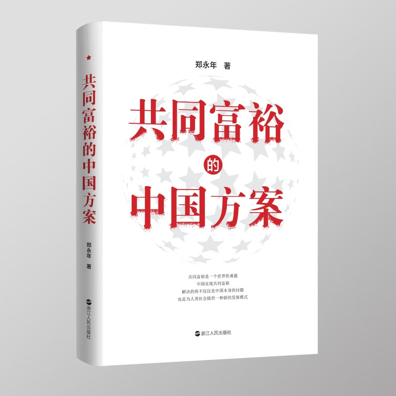 共同富裕的中国方案
