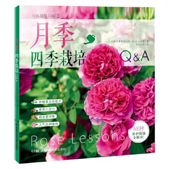月季四季栽培Q&A [日]小山内健,光合作用 湖南科技出版社