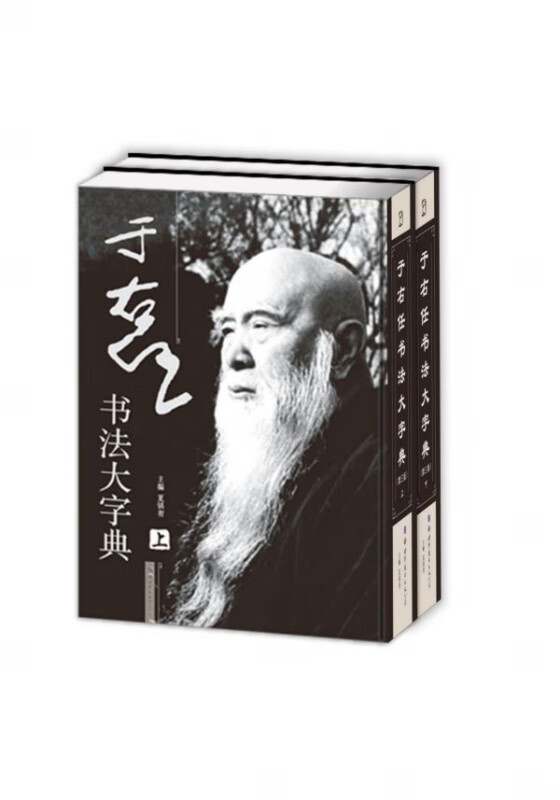 于右任书法大字典(上下)(精)