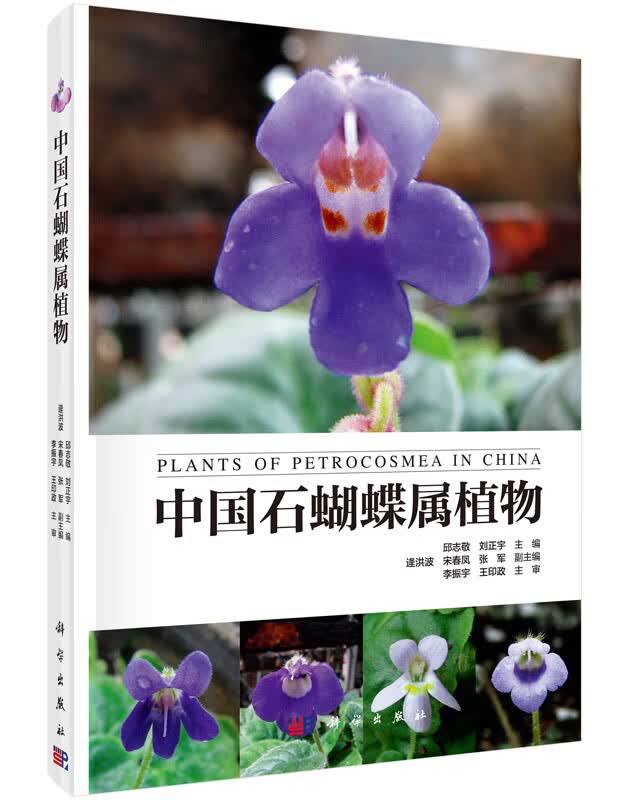 中国石蝴蝶属植物/科学出版社