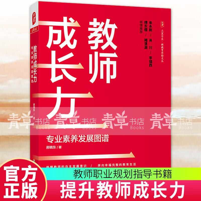 教师成长力：专业素养发展图谱 大夏书系 教师发展 郝晓东著 教师成长理论  华东师范大学出版社