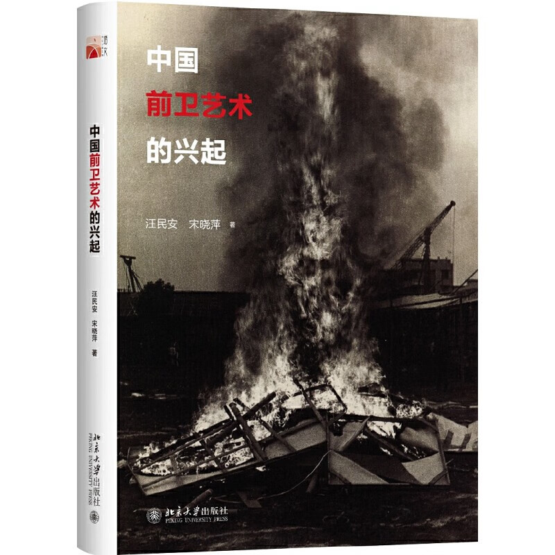 现货 中国前卫艺术的兴起   汪民安 宋晓萍 全新