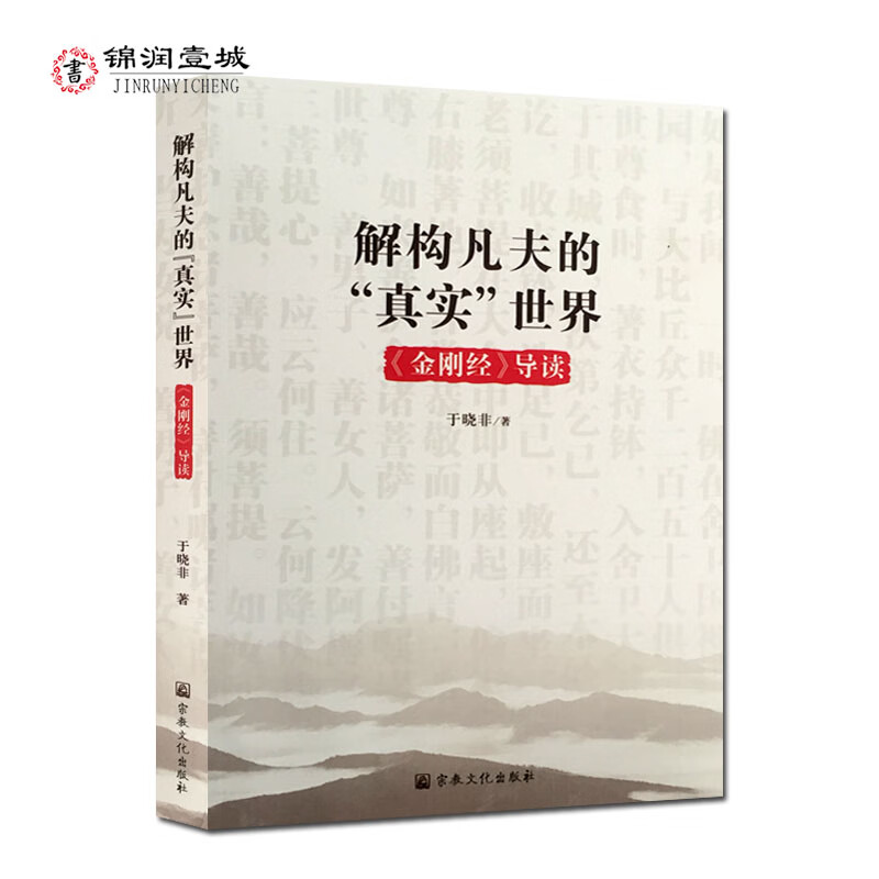 包邮 解构凡夫的真实世界:金刚经导读 于晓非解读讲金刚经N