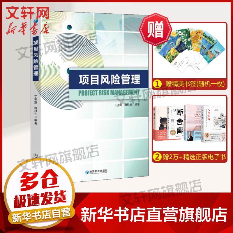 项目风险管理 图书