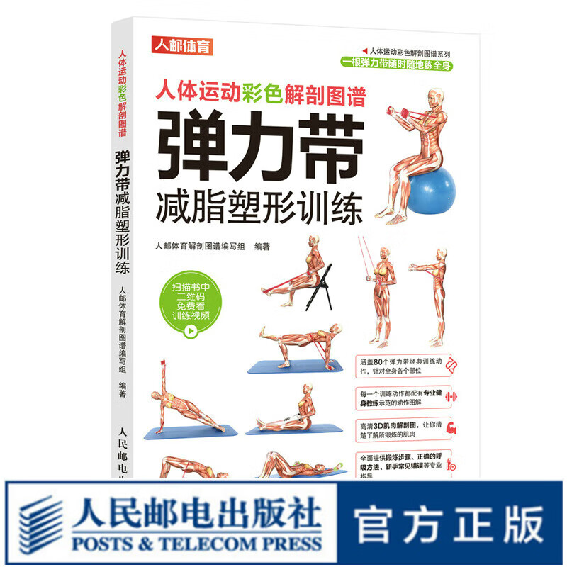 弹力带减脂塑形训练 健身训练书籍 健身减脂书籍 健美书籍