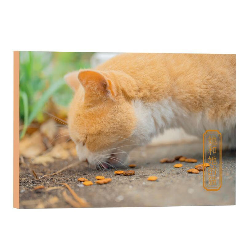 他和她的猫传记 图书