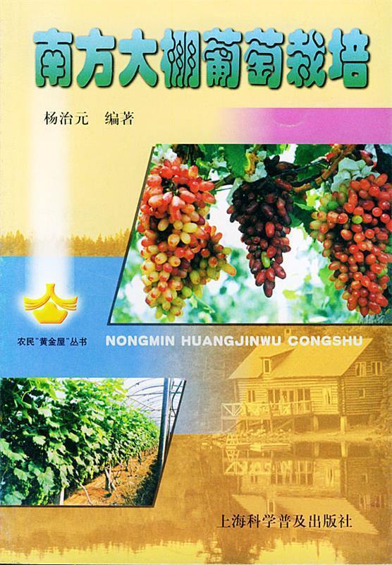 南方大棚葡萄栽培