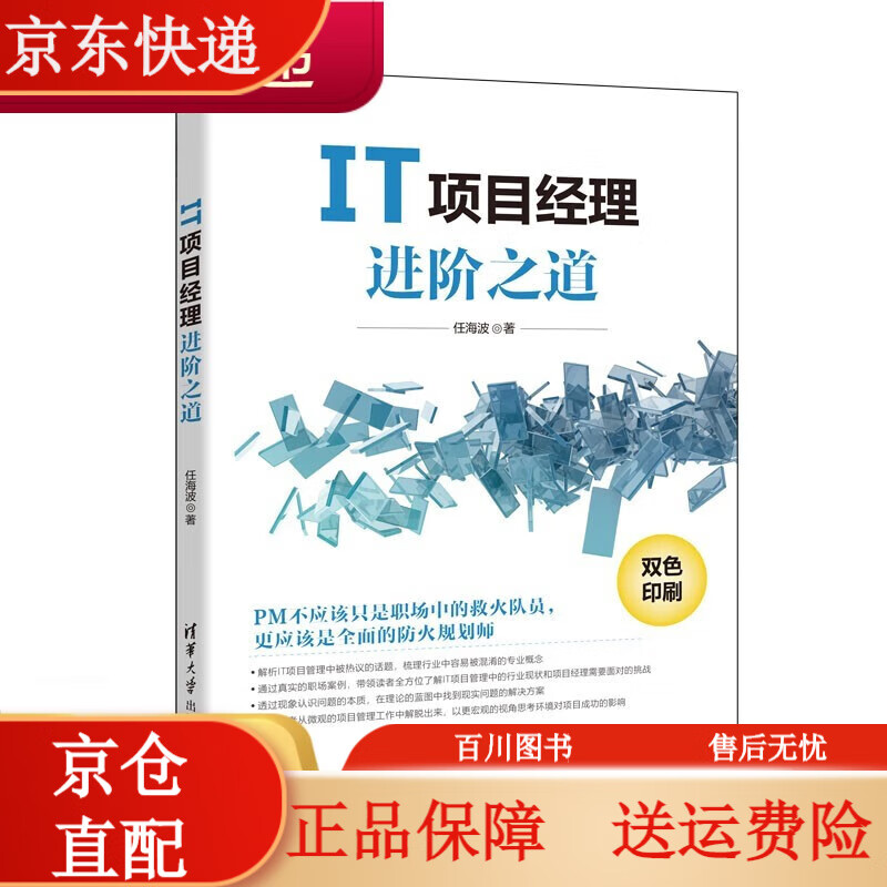 计算机与互联网IT项目经理进阶之道 理进阶之道